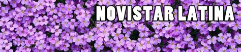 Juegos Novistar Latina
