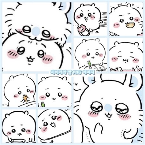 치이카와 짤  Png 스티커 자료 네이버 블로그