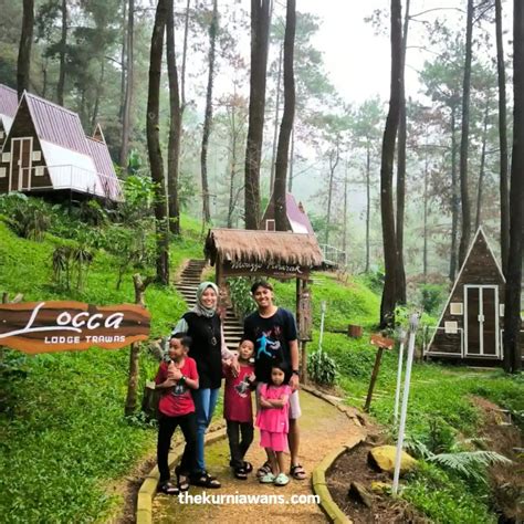 Locca Lodge Trawas Glamping Aesthetic Di Kelilingi Pohon Pinus Bikin