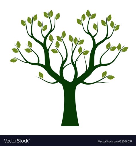 Green Tree With Leaves Outline Royalty Free Vector Image