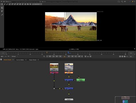 Roto Not Working R Nukevfx