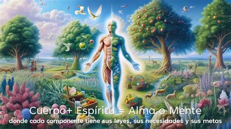 Cuerpo Espíritu Alma Y Conciencia Fundación Sonría