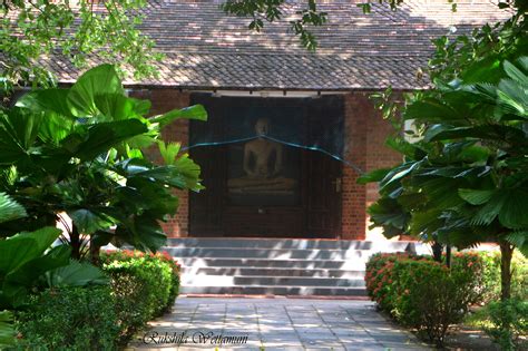 Rehena රැහැන මෙම ඡායාරෑපයේ දැක්වෙන්නේ තිස්සමහාරාමයේ පිහිටි පැරණි මාගම නාගරික ගොඩැල්ලේ කළ