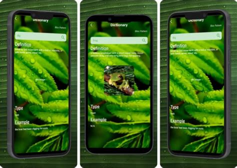 Apis Integration For Flutter App Development By Aaakhan01 Fiverr