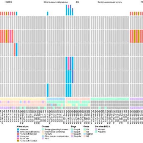 Oncoprint Of Uterine Cavity Lavage Samples Ec Endometrial Cancer Download Scientific Diagram