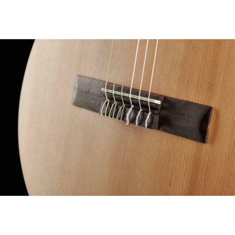 Alhambra Z Nature Inclgig Bag Thomann Nederland