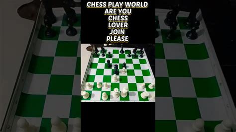 board games chess chessboard youtube