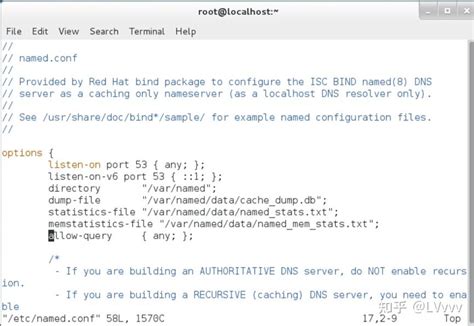 Linux配置DNS服务 知乎