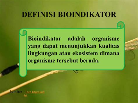 Ppt Bioindikator Pptx