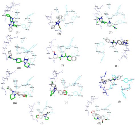 Docking Interaction Structure Of 10 Best Lead Molecules And Known