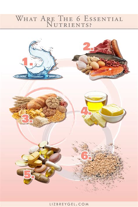 What Are The 6 Essential Nutrients For The Bodys Health And Energy