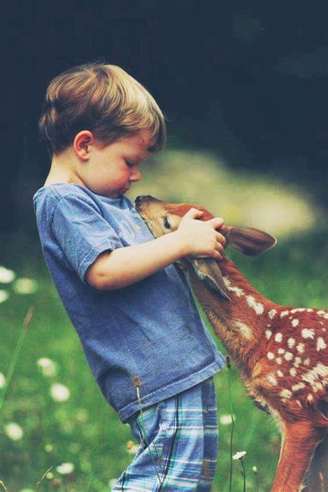 ლექსები ფშავის გზაზე შეღამების ბინდში არაგვისპირს