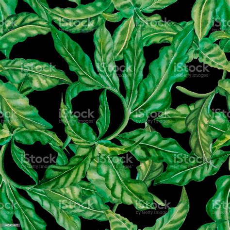 열대 잎은 이음새가 없는 수채화 무늬를 띠고 있습니다 흰색 배경에 고립 된 녹색 식물 가지의 손으로 그린 그림 정글 장식품 옷과