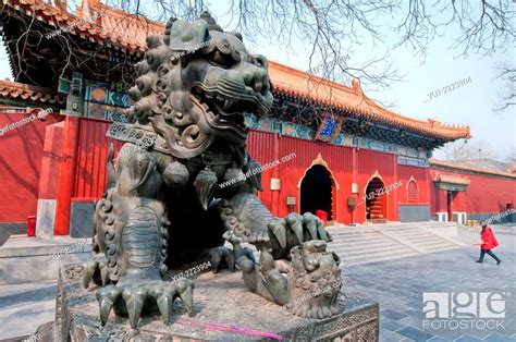 Lion Statue In Yonghe Temple Also Known As Yonghe Lamasery Or Simply Lama Temple In Beijing