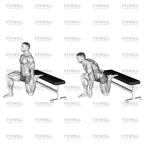 Hip Flexor Stretch Rear Foot Elevated Exercise Guide Video Techniques Benefits How To