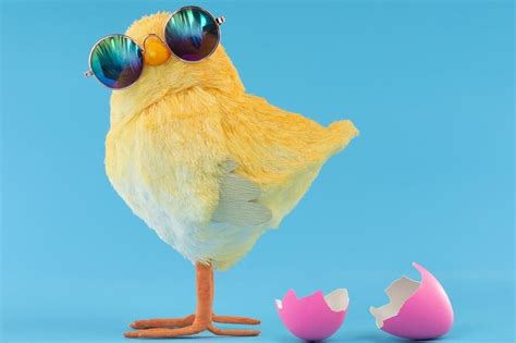 97 Funny Chicken Jokes That Are Egg Cellent