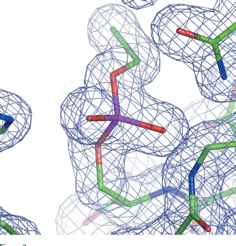 Figure 3 From Structural Biology And Crystallization Communications Structure Of Esta Esterase