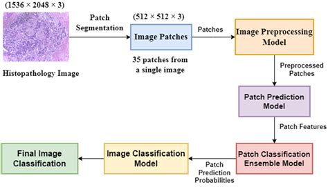 A Multi Stage Approach To Breast Cancer Classification Using