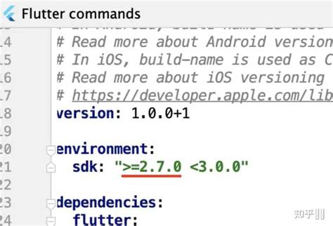 如何得知从git上clone下的flutter项目的flutter和dart版本？ 知乎
