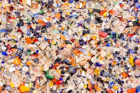 Microplastics Are In Your Brain Testicles Placenta Lungs Soul