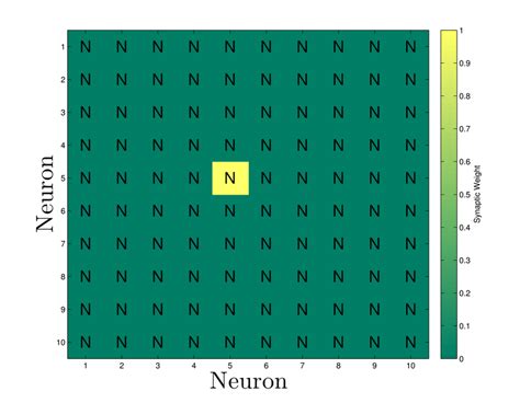 Neural Network Behaviour In A Stationary Trajectory Download Scientific Diagram