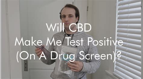 Does CBD Show Up On A Drug Test Drug Screen Do S Don Ts
