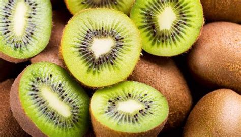 Conheça As Frutas Legumes E Vegetais De Junho Blog Do Pão