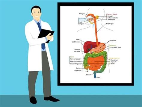 What Happens If Hemorrhoids Go Untreated Heal My Hemorrhoids