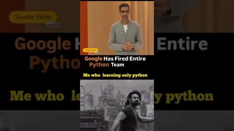【python】yolov11で独自画像を学習！〜アノテーションから学習手順まで詳しく解説！〜 Pythonちゃん