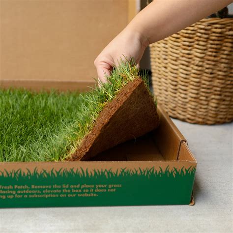 7 Reasons To Choose Fresh Patch Real Grass Over Artificial Turf Grass