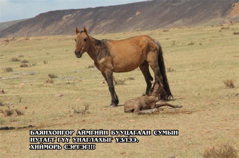 Миний аялал