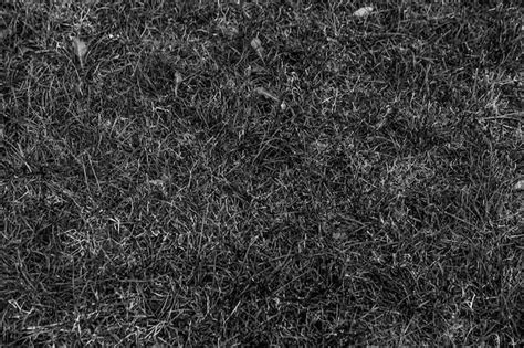 Premium Photo Green Artificial Grass Natural Background
