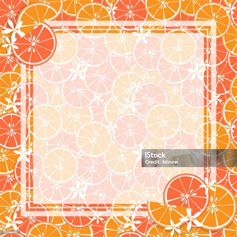 감귤류 과일 배경에 사각형 흰색 프레임과 직사각형 레이블의 벡터 그림입니다 열대 신선하고 육즙이 오렌지 감귤류 과일은 밀접하게 평평한 디자인의 배경과 꽃을 간격으로 0명에