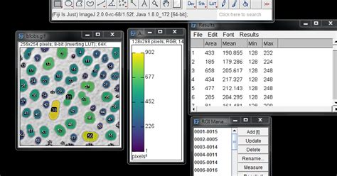 阿簡生物筆記 使用imagej用色彩標註roi Color Coder
