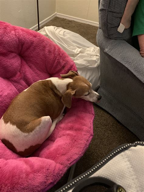 Libby Denney Denneylibby Twitter