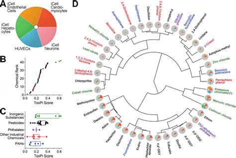 Toxpi Analysis Based Ranking And Clustering Of 42 Superfund Priority Download Scientific