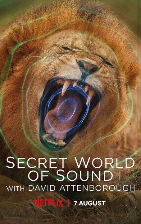Ari Wise On Linkedin Secretworldofsound Davidattenborough Netflix
