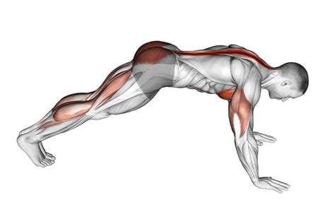 Cobra Push Up Benefits Muscles Worked More Inspire Us Cobra Push Up Benefits Muscles Worked More Inspire Us