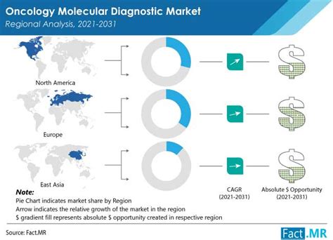 Oncology Molecular Diagnostics Market Size And Trends 2031