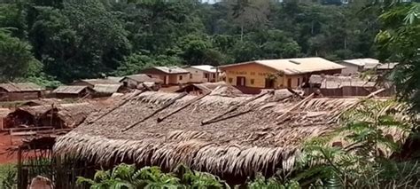 Sans Réseau Bilolo Senfonce Dans Lisolement Et Linsécurité