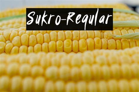 Sukro-Regular Font - FFonts.net