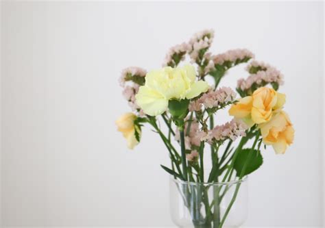 노란 카네이션 꽃말 알아보고 오래보는 화병 꽃꽂이 하기 네이버 블로그
