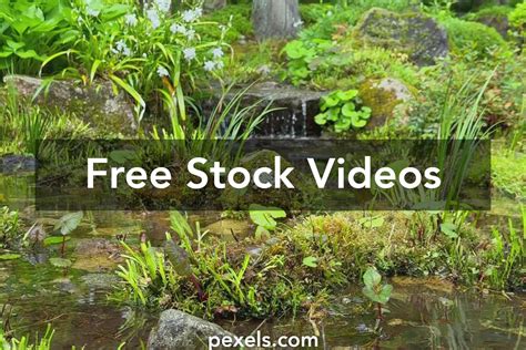 Japanese Mom Sleeping Son Videos Download The Best Free 4k Stock Video