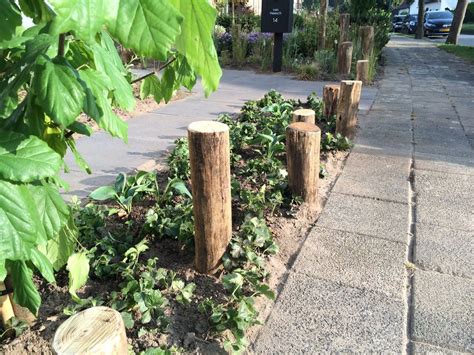 Required Reading The Cut Flower Patch Artofit