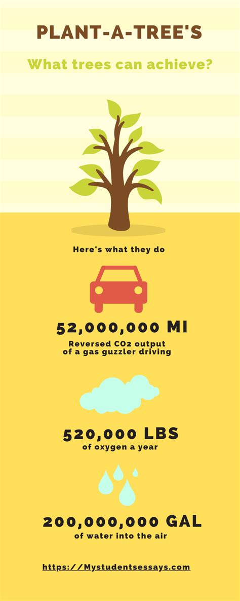 Trees Are Our Best Friends Essay To Must Read In Babe Essays