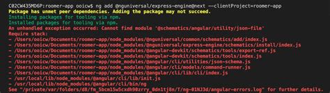 Javascript Error For Ng Add Nguniversalexpress Enginenext Stack Overflow