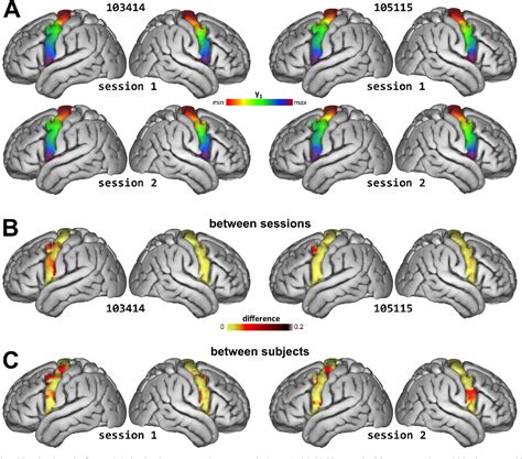 Figure 1 From Connectopic Mapping With Resting State Fmri Semantic Scholar