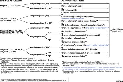 Nccn Nonsmall Cell Lung Cancer Guidelines Update Slides