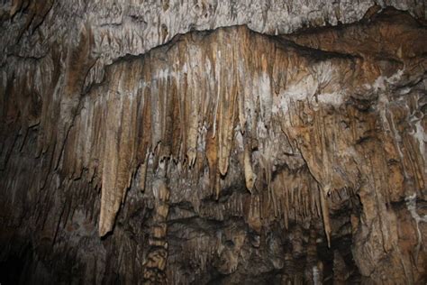 ნავენახევის მღვიმის ბუნების ძეგლი Travel In Georgia