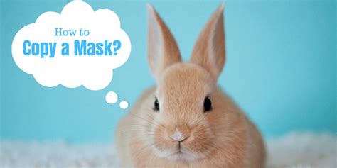 How To Copy A Mask In Photoshop 3 Quick And Easy Steps